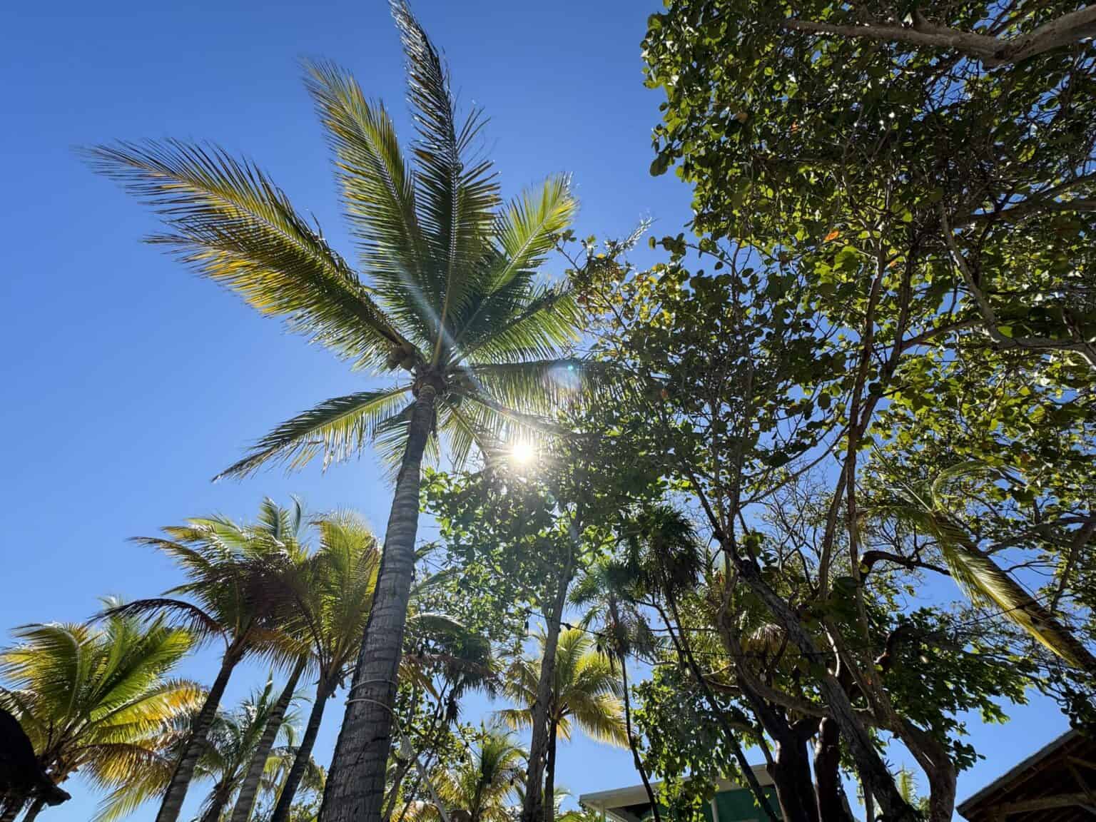 Explore Roatan – Roatan Caribbean Living